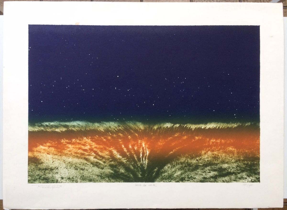 Gravura do Artista Inácio Rodrigues Boca da Noite 1987 | Item de ...