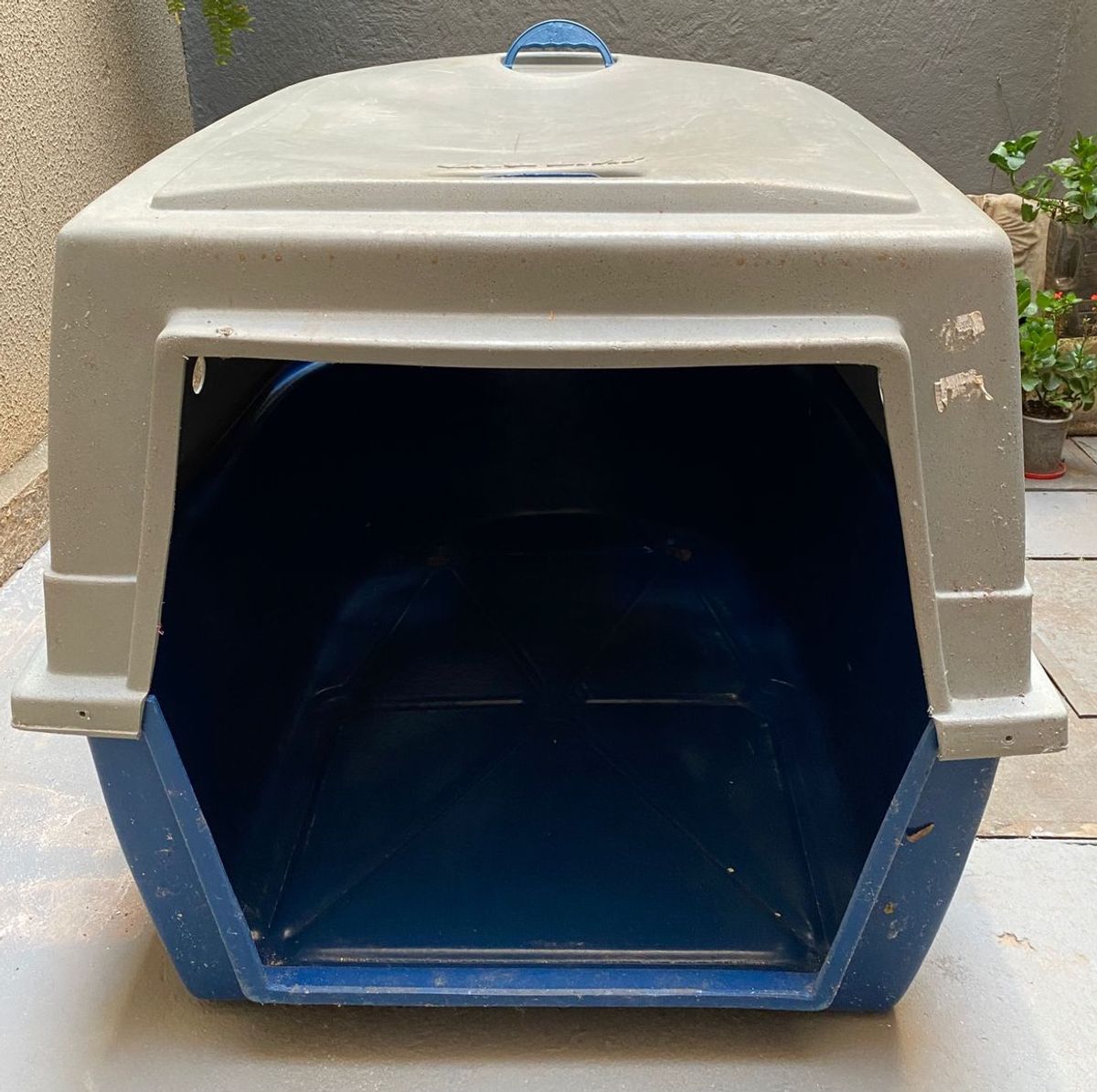 Kennel para Transporte de Animais | Item p/ Pet Doglar Usado 77765186 ...