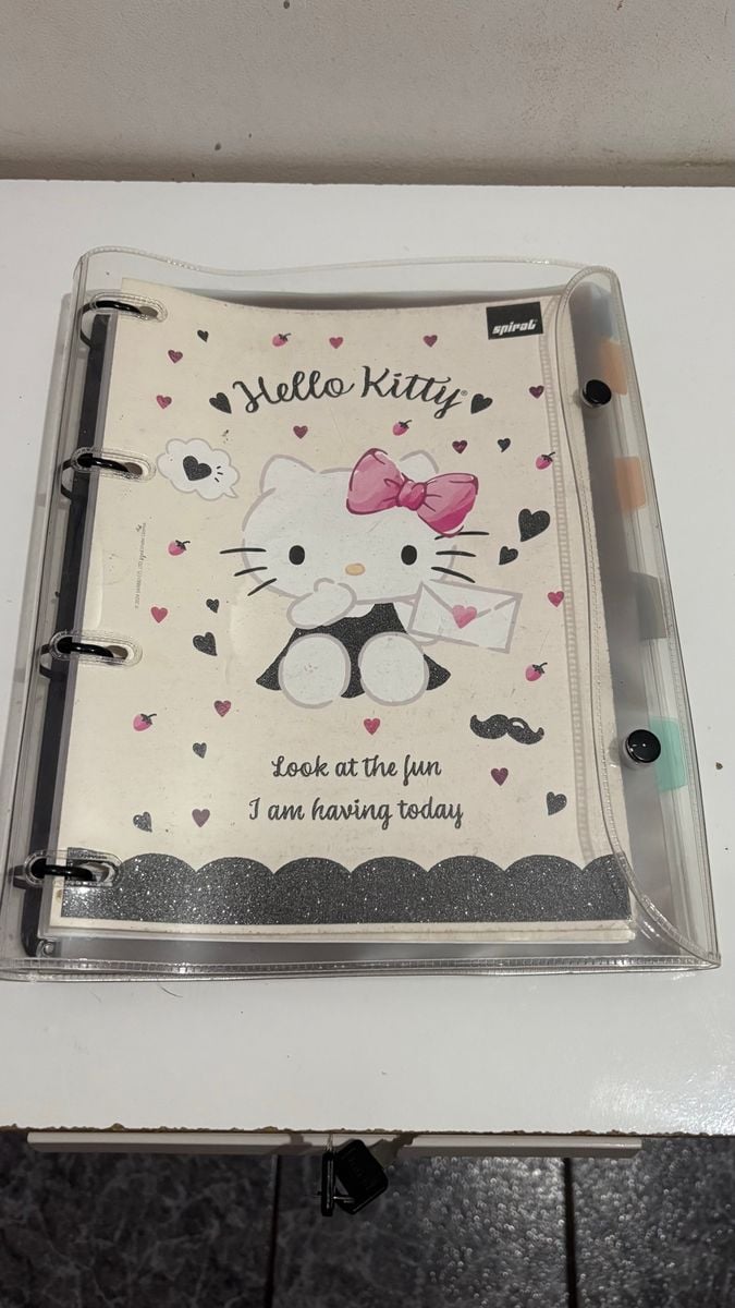 Kit Aesthetic Hello Kitty: Fichário Spiral + Pack 500 Folhas | Livro ...