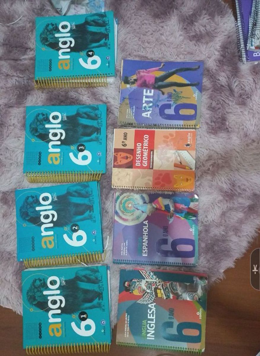 Kit Apostilas Usadas Anglo 6 Ano e Objetivo 7 Ano + Livros de Leitura ...