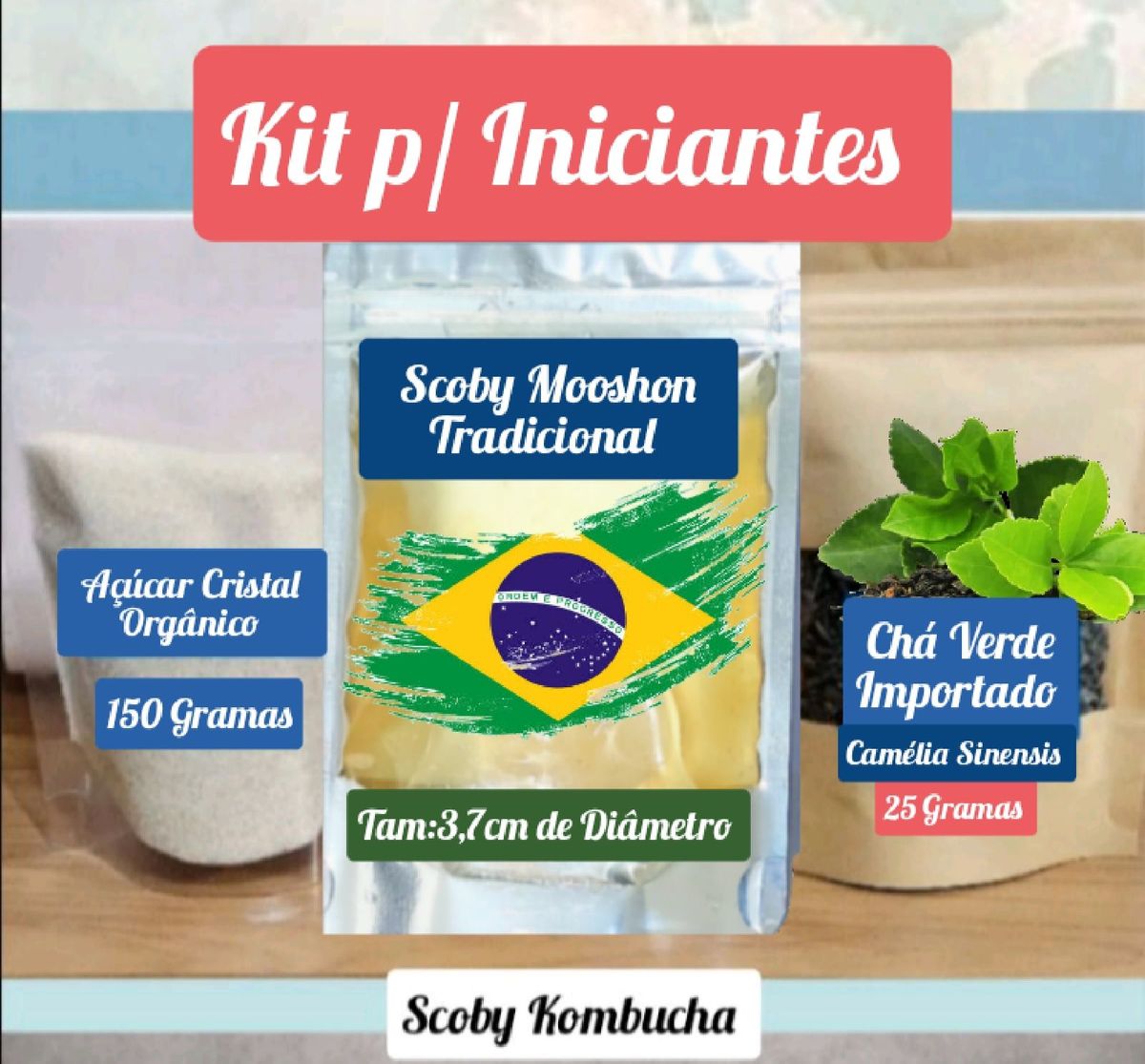 Kit P Iniciantes Scoby Mooshon Tradicional | Móvel p/ Casa Scoby ...