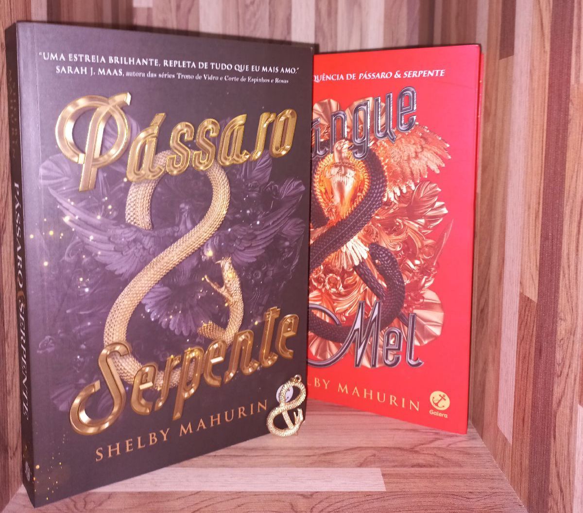 Kit Pássaro e Serpente e Sangue e Mel + Pingente | Livro Editora Record ...