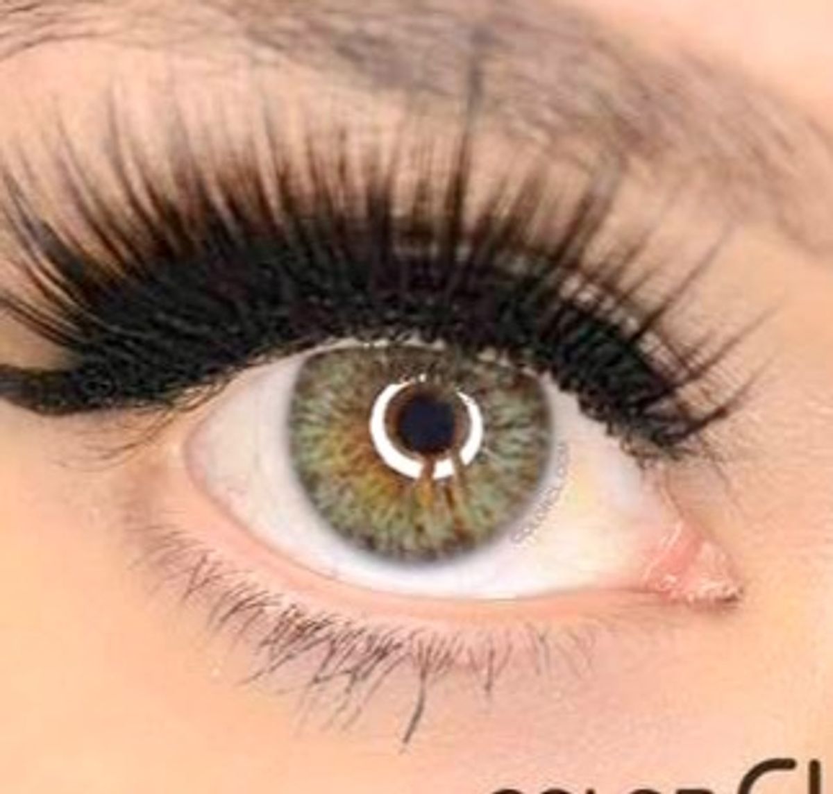 Lentes Coreanas Verdes Colorcl Siesta Crystal Edition Iris Green ...