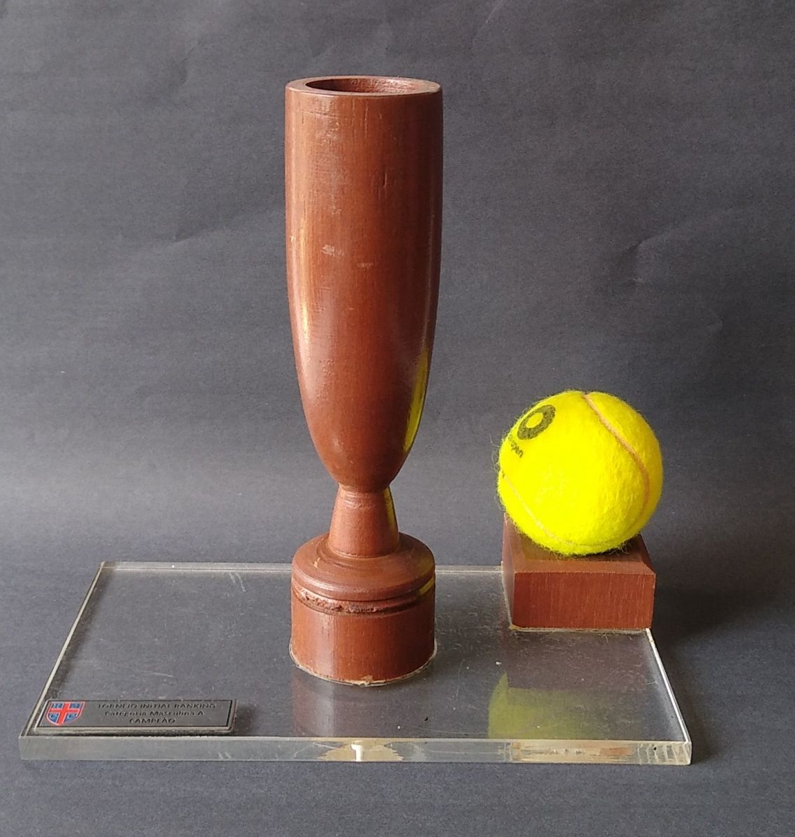 Lindo Troféu de Tênis Campeão | Item de Decoração Usado 70596742 | enjoei