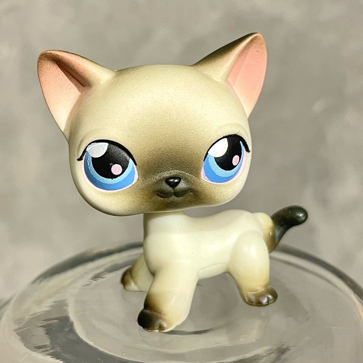 Littlest Pet Shop Siamese Cat #5 Lps Gato Miniatura Siamês Colecionador ...