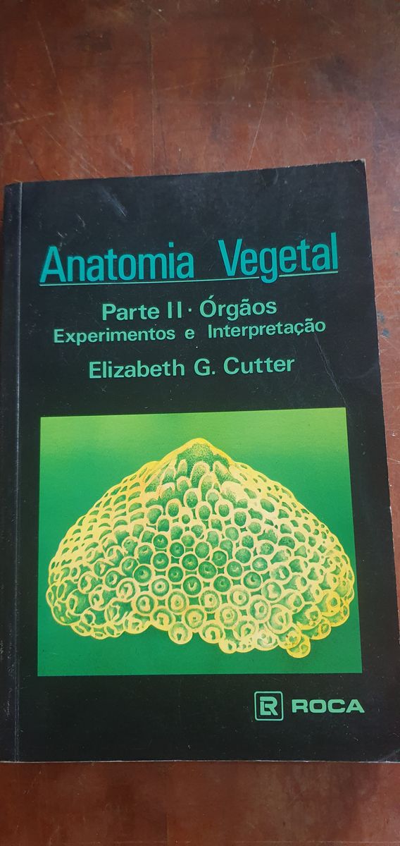 Livro Anatomia Vegetal - Parte Ii Órgãos Experimentos e Interpretação ...