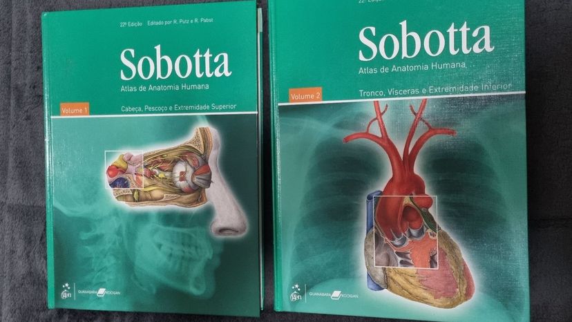 Livro Atlas de Anatomia Sobotta | Livro Gen Usado 80513931 | enjoei Livro Atlas de Anatomia Sobotta | Livro Gen Usado 80513931 | enjoei