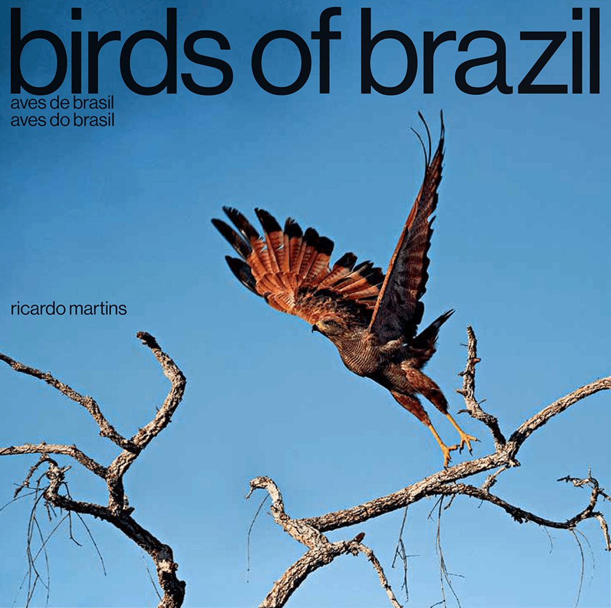 Livro Birds Of Brazil - Aves do Brasil | Livro Editora Brasileira Nunca ...