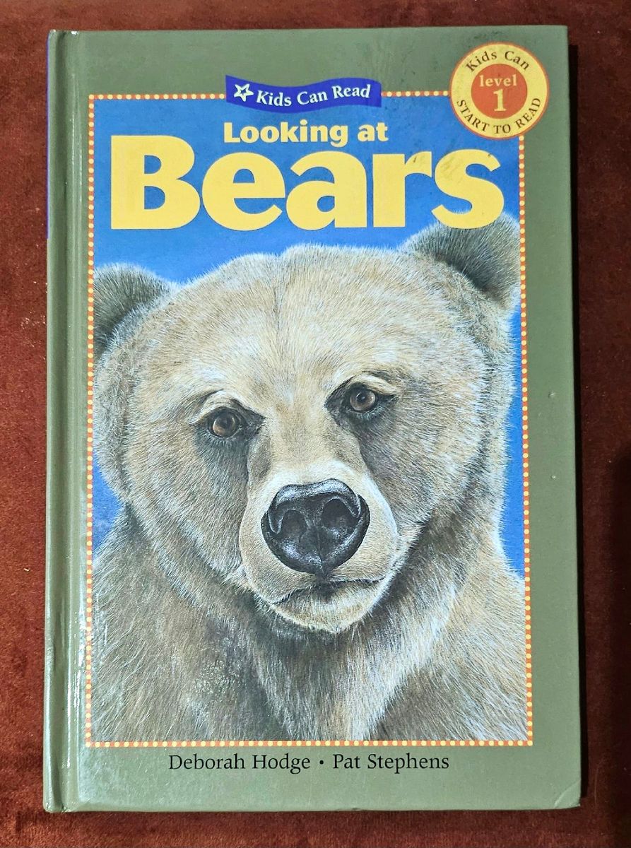 Livro Capa Dura Looking At Bears Maple Bear Infantil Sk Jk Nursery ...