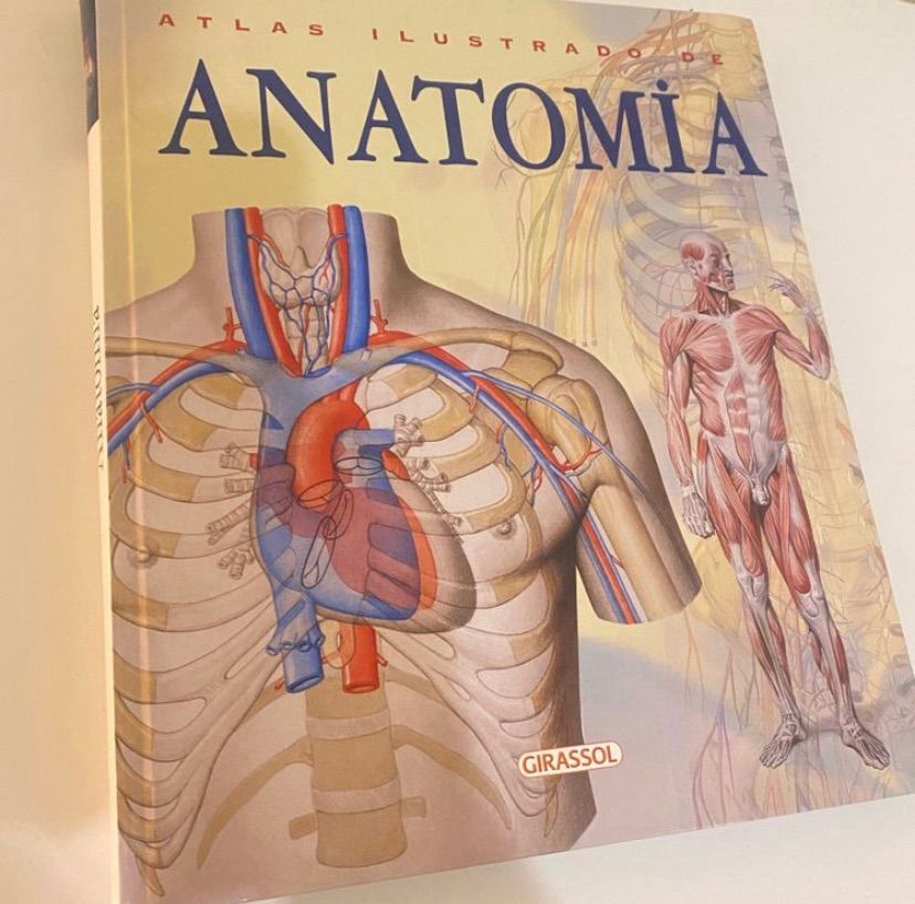 Livro de Medicina Anatomia Humana | Livro Usado 85395485 | enjoei