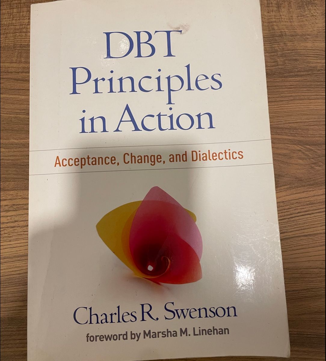 Livro em Inglês Dbt Principles In Action Charles Swenson | Livro Nunca ...