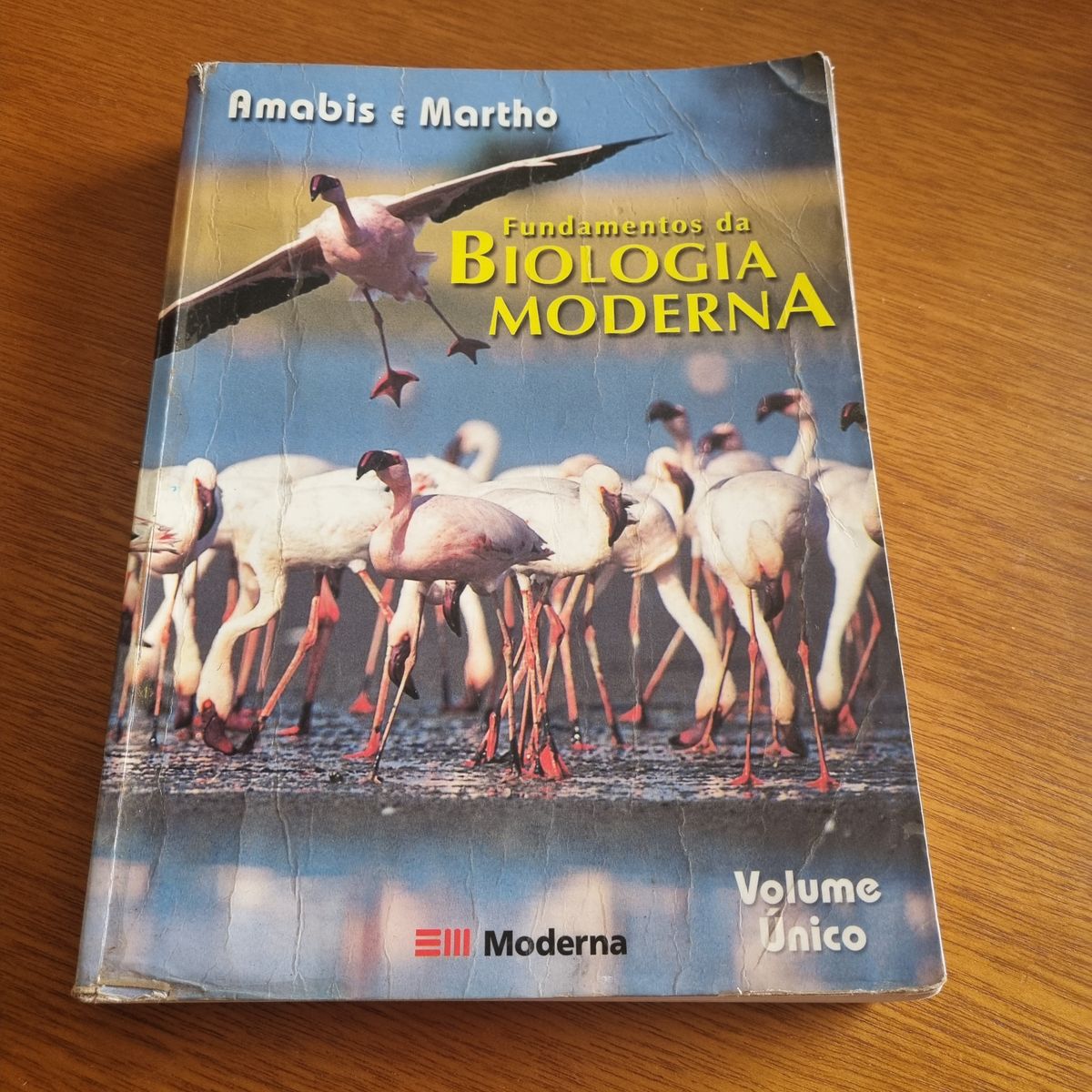 Livro Fundamentos da Biologia Moderna - Volume Único - 2 Grau | Livro ...