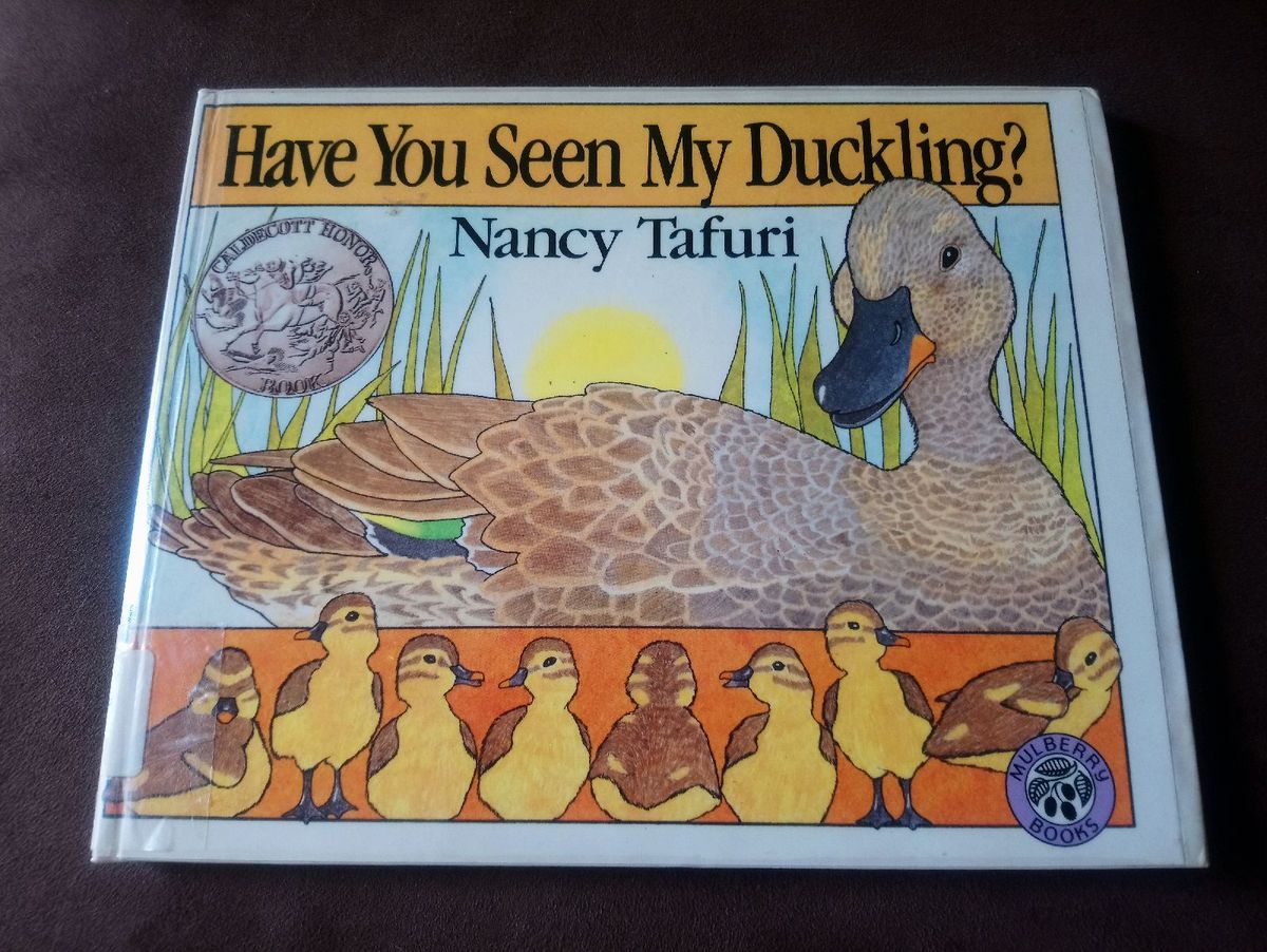 Livro Infantil em Inglês Book Have You Seen My Duckling? | Livro Usado ...