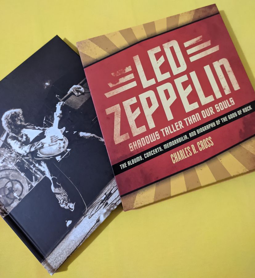 Livro // Led Zeppelin Shadows Taller Than Our Souls | Livro Usado ...