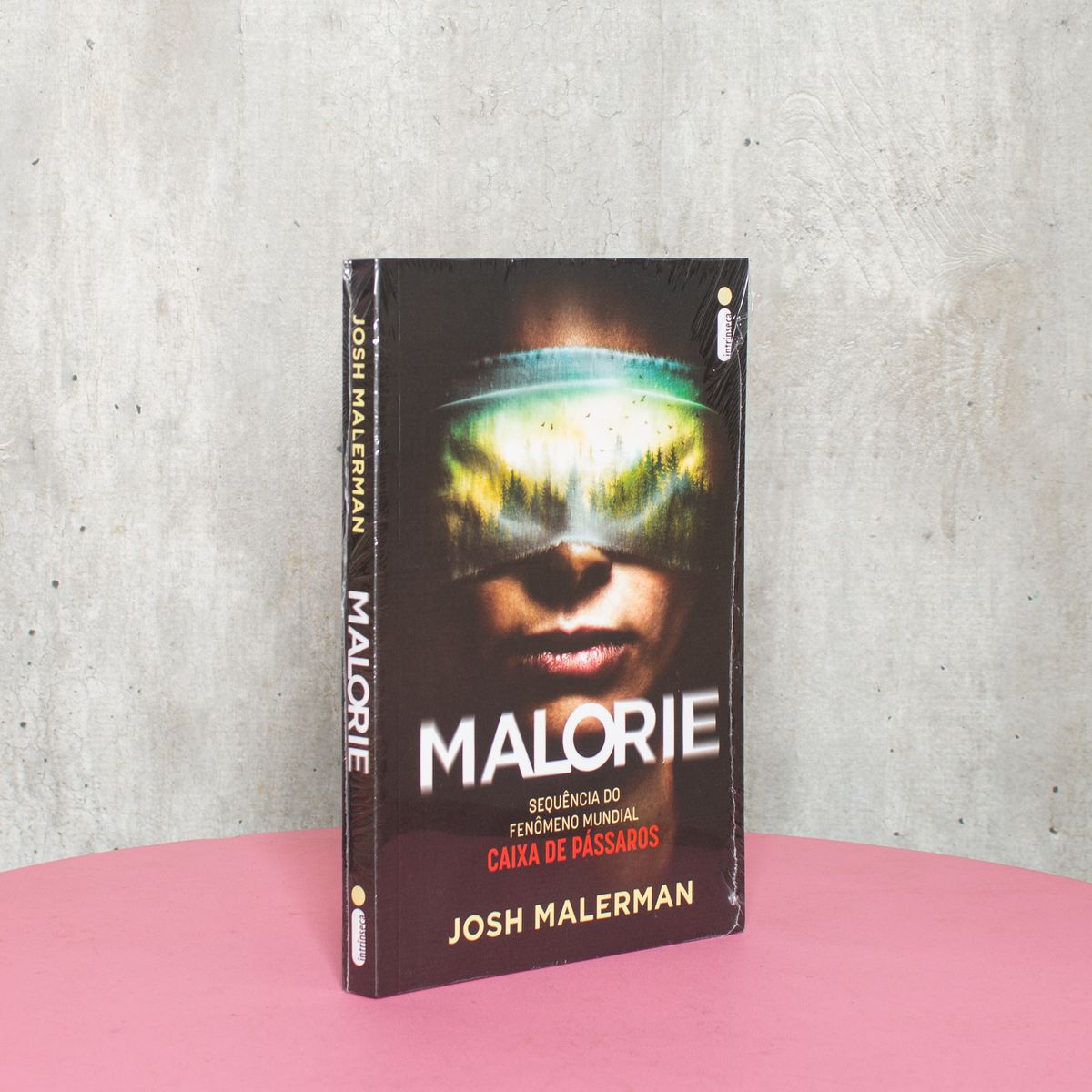 Livro Malorie Sequência de Bird Box Josh Malerman | Livro Intrinseca ...
