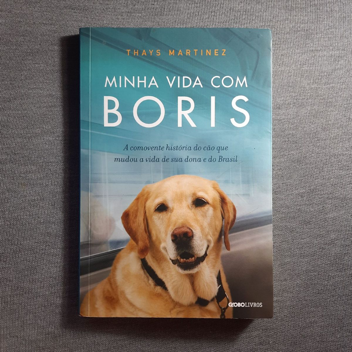 Livro Minha Vida com Boris - Thays Martinez | Livro Globo Livros Usado 95651942 | enjoei