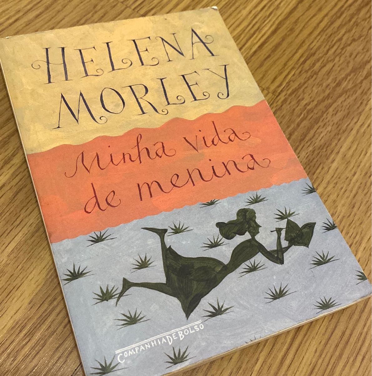 Livro Minha Vida de Menina - Helena Morley | Livro Companhia Das Letras Usado 81642444 | enjoei