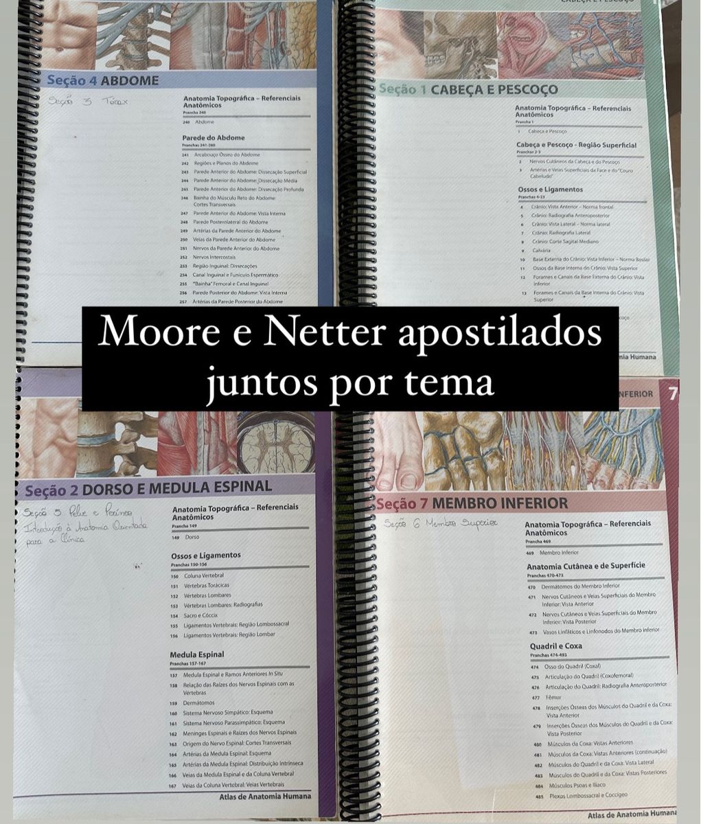 Livro Moore Anatomia Orientada para a Clínica e Netter Atlas de ...