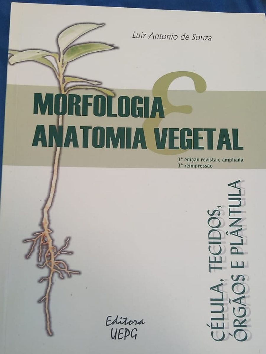 Livro - Morfologia e Anatomia Vegetal | Livro Livro Usado 55698943 | enjoei
