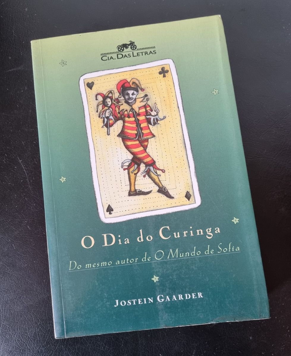 Livro O Dia Do Curinga Livro Usado 72195135 Enjoei