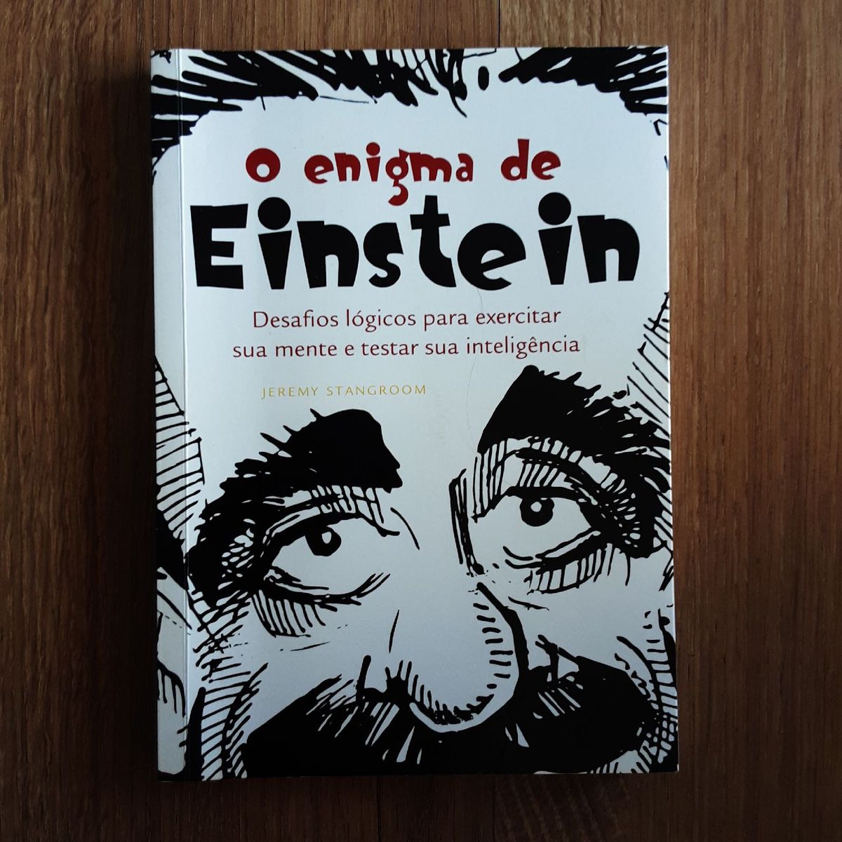 Livro - O Enigma de Einstein: Desafios Lógicos para Exercitar Sua Mente | Livro Livro Usado ...