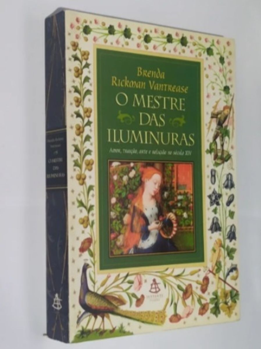 Livro O Mestre Das Iluminuras | Livro Usado 53077617 | enjoei