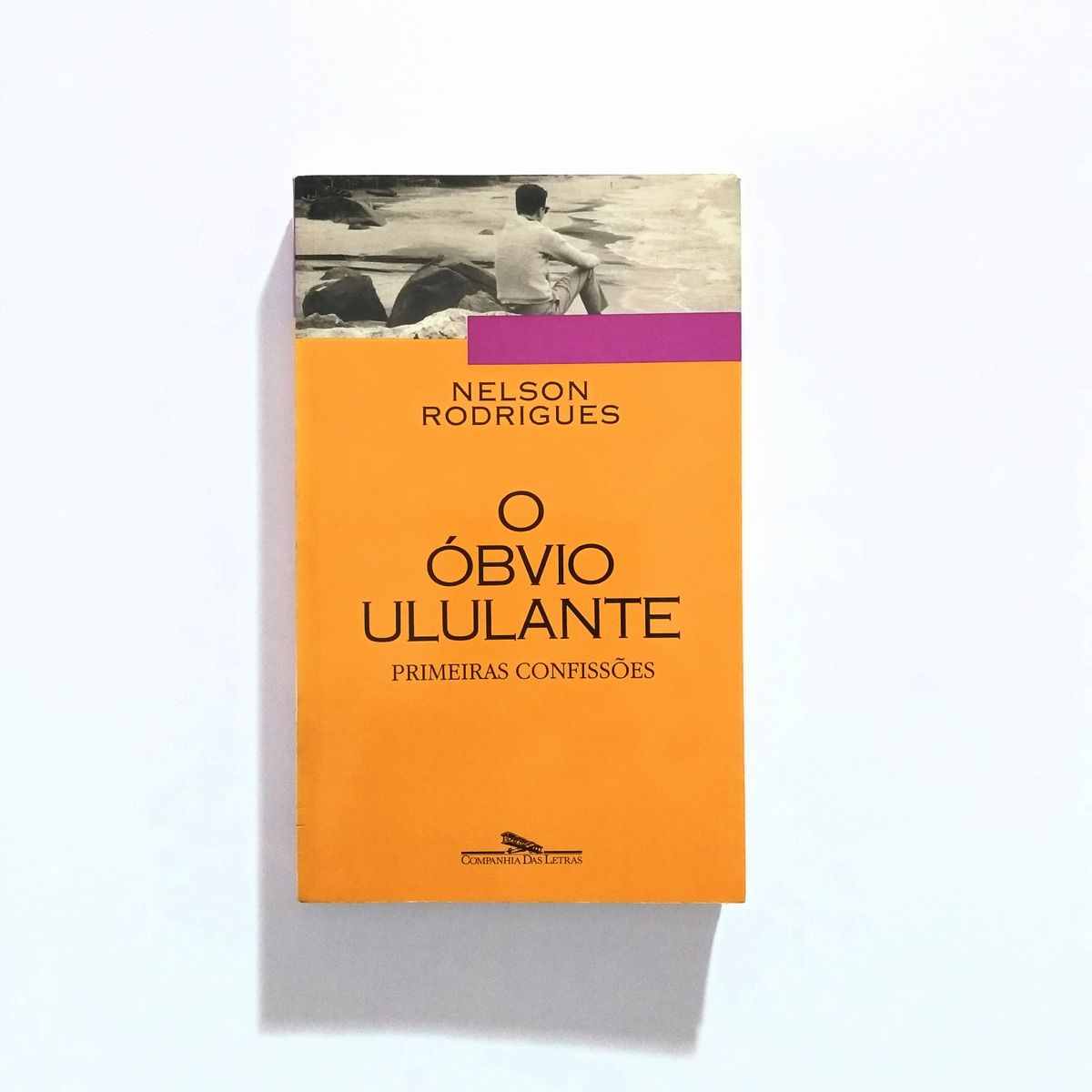 Livro: O Óbvio Ululante: Primeiras Confissões Crônicas. Nelson ...