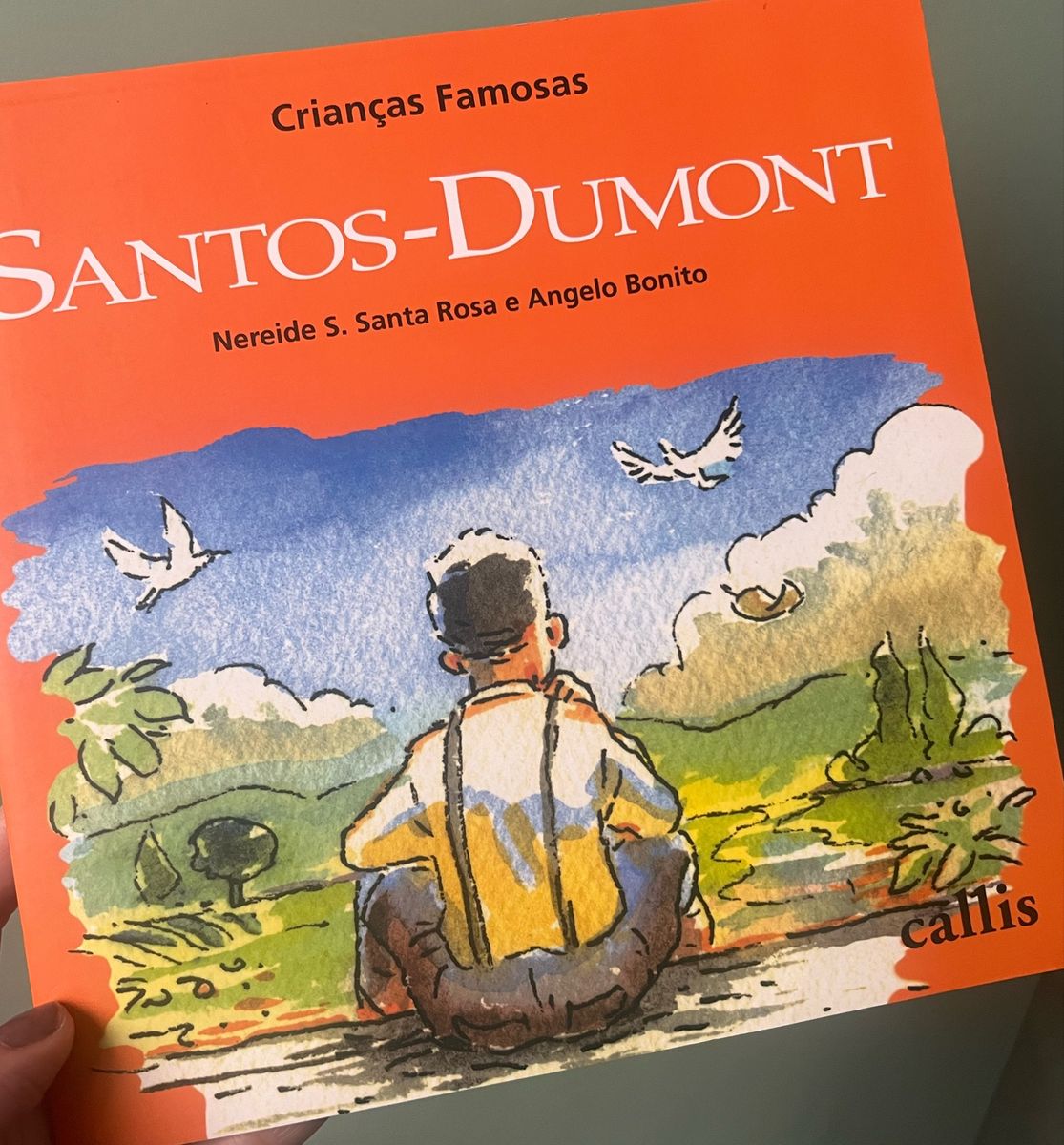 Livro Santos Dumont - Nereide S. Santa Rosa e Ângelo Bonito | Livro ...