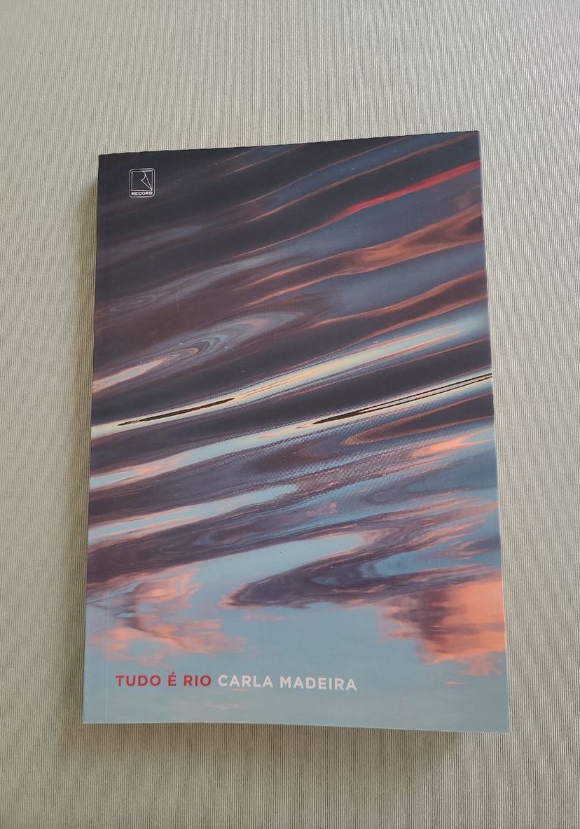 Livro Tudo É Rio | Livro Editora Record Usado 83266605 | enjoei