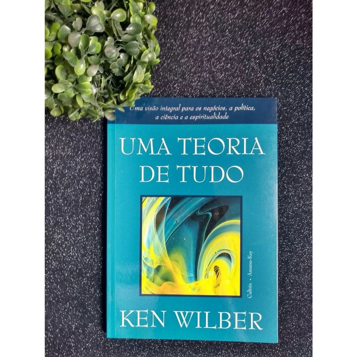Livro Uma Teoria de Tudo | Livro Cultrix Usado 103253231 | enjoei