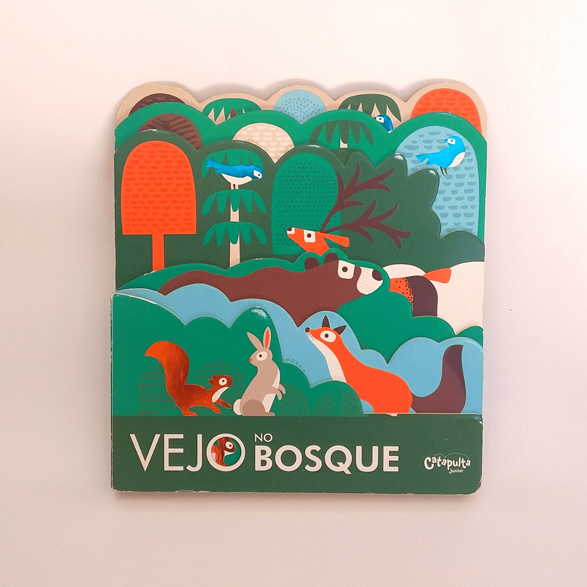 Livro Vejo No Bosque - Capa Dura | Brinquedo para Bebês Catapulta Usado ...