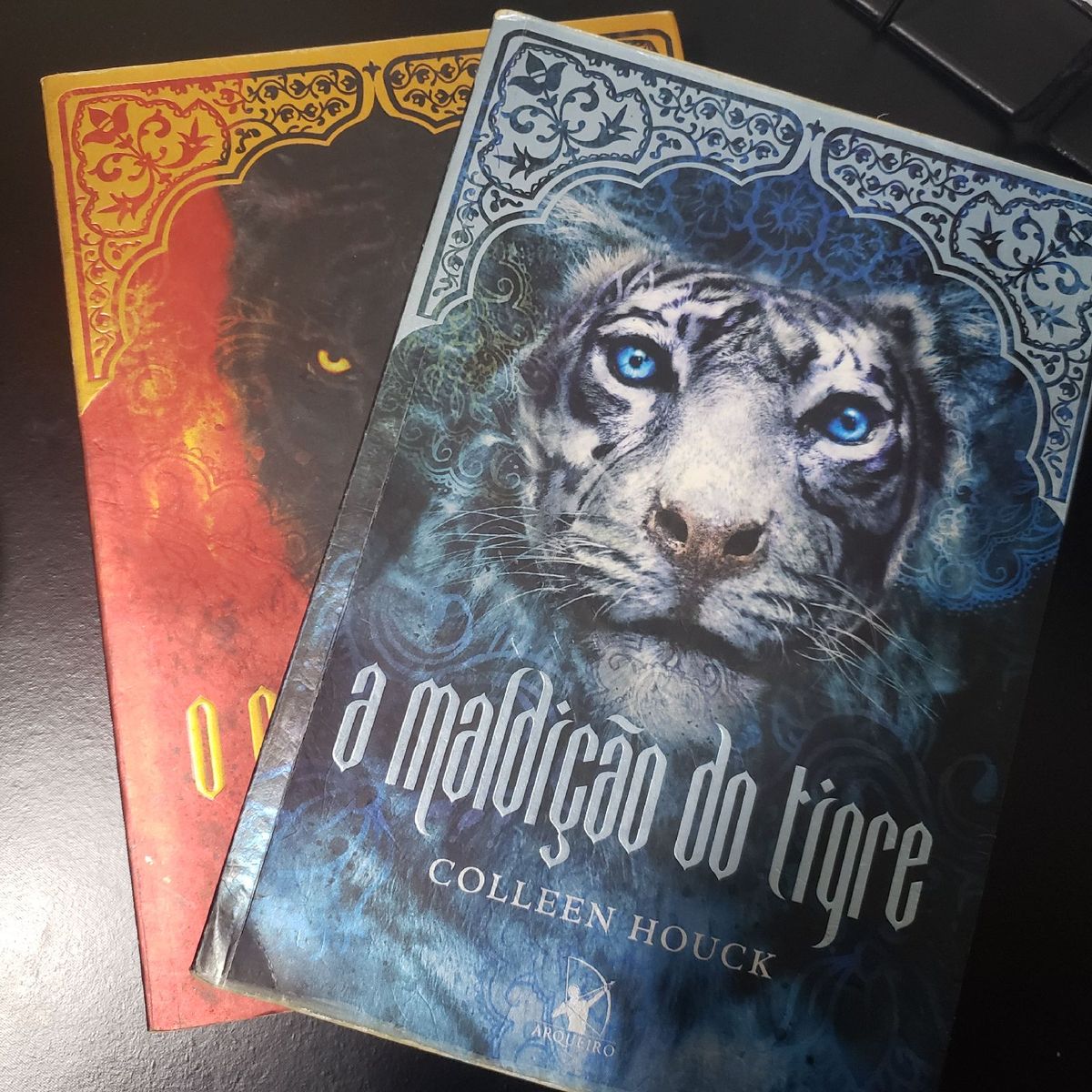 Livros A Saga Do Tigre Livro Arqueiro Usado 45310882 Enjoei