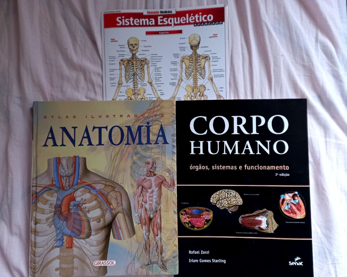 Livros de Anatomia Humana | Livro Usado 59969144 | enjoei
