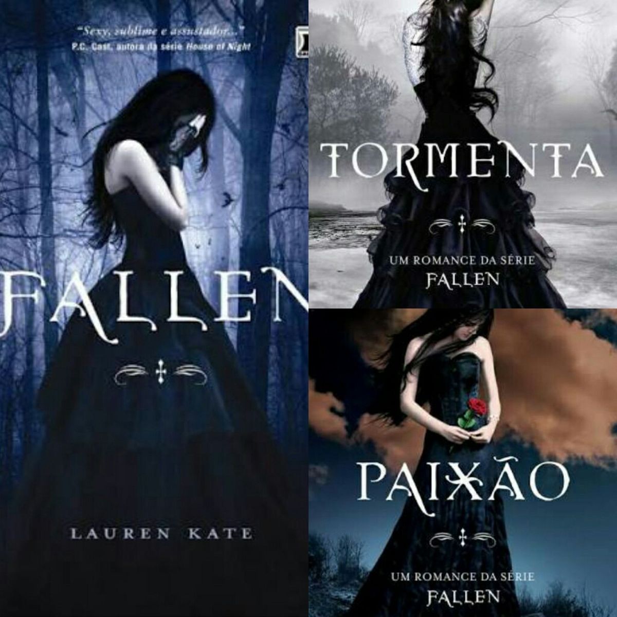 Livros Fallen, Tormenta e Paixão da Serie Fallen, Lauren Kate | Livro ...