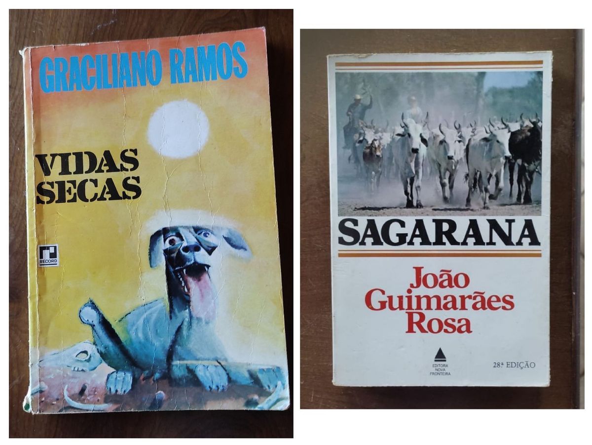 Livros - Vidas Secas e Sagarana | Livro Usado 86885294 | enjoei