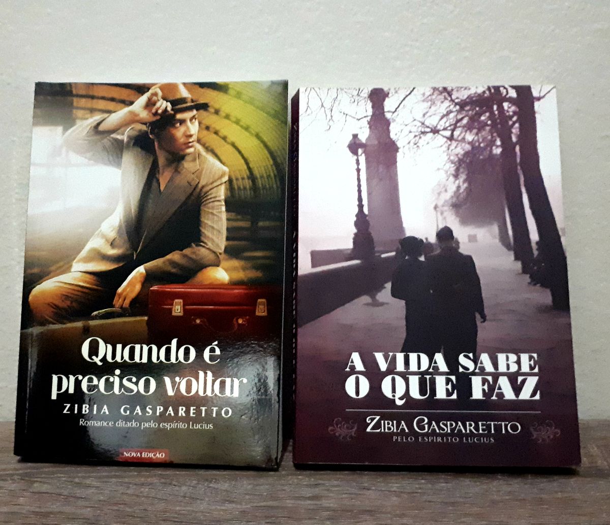 Livros Zíbia Gasparetto | Livro Editora Vida E Consciência Usado ...