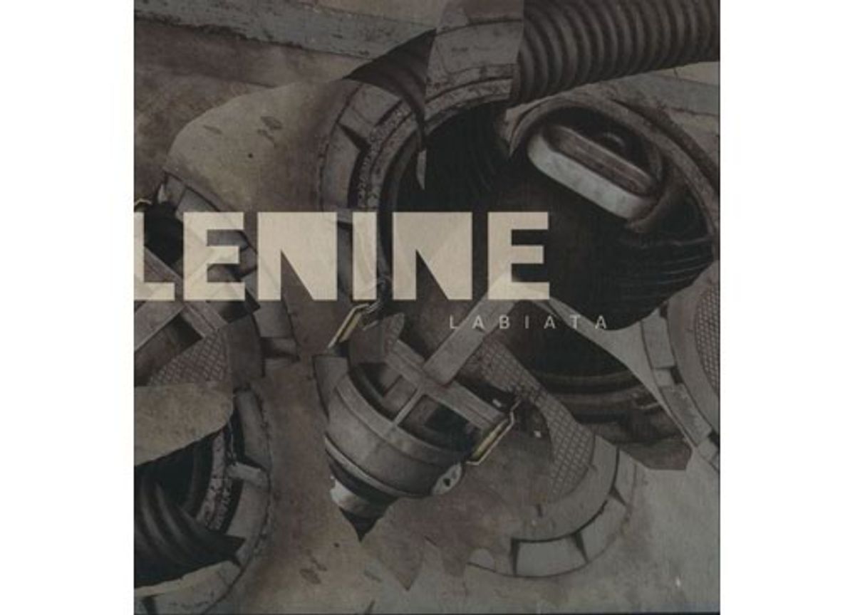 Lp Mpb Lenine - Labiata *raro* | Produto Vintage e Retro Usado 67073258 ...