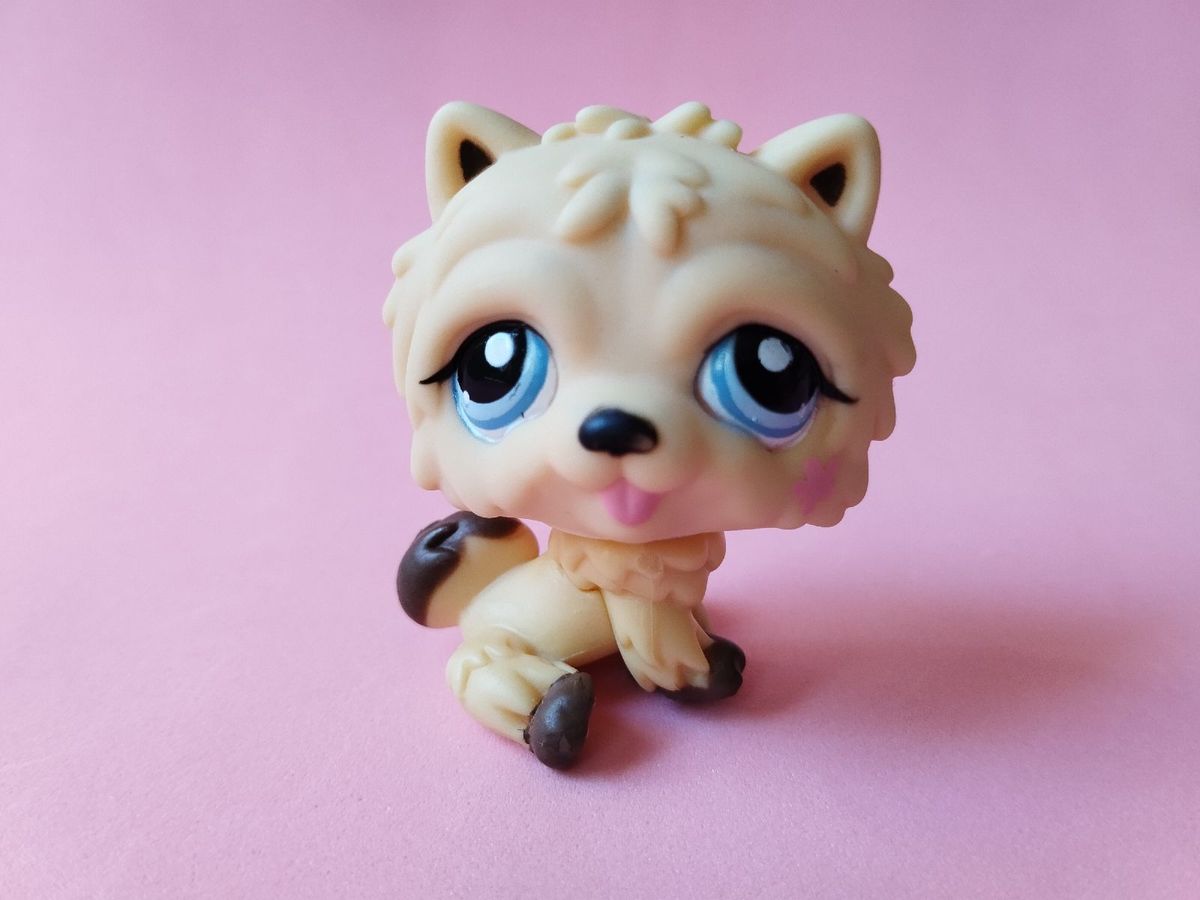 Lps Littlest Pet Shop Showshow | Brinquedo Hasbro Usado 106449961 | enjoei