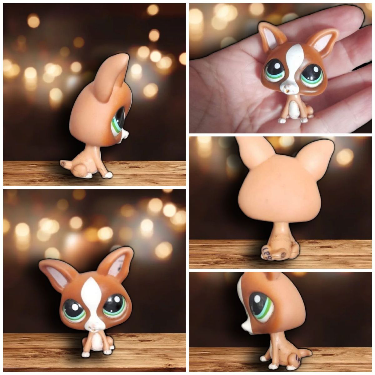 Lps Raro Littlest Pet Shop Chihuahua Original Hasbro Conforme Fotos ...
