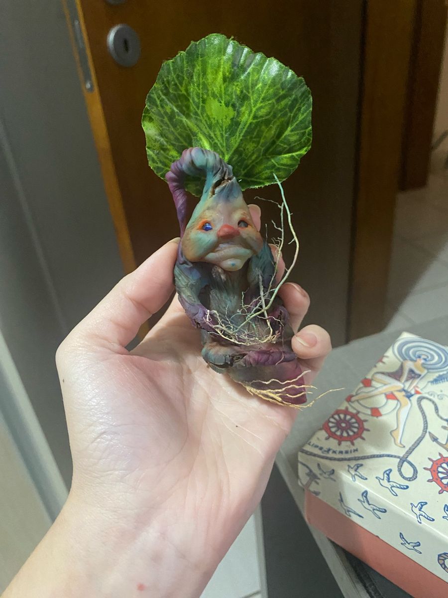 Mandragora Vinda da Argentina | Item de Decoração Mandragora Usado ...