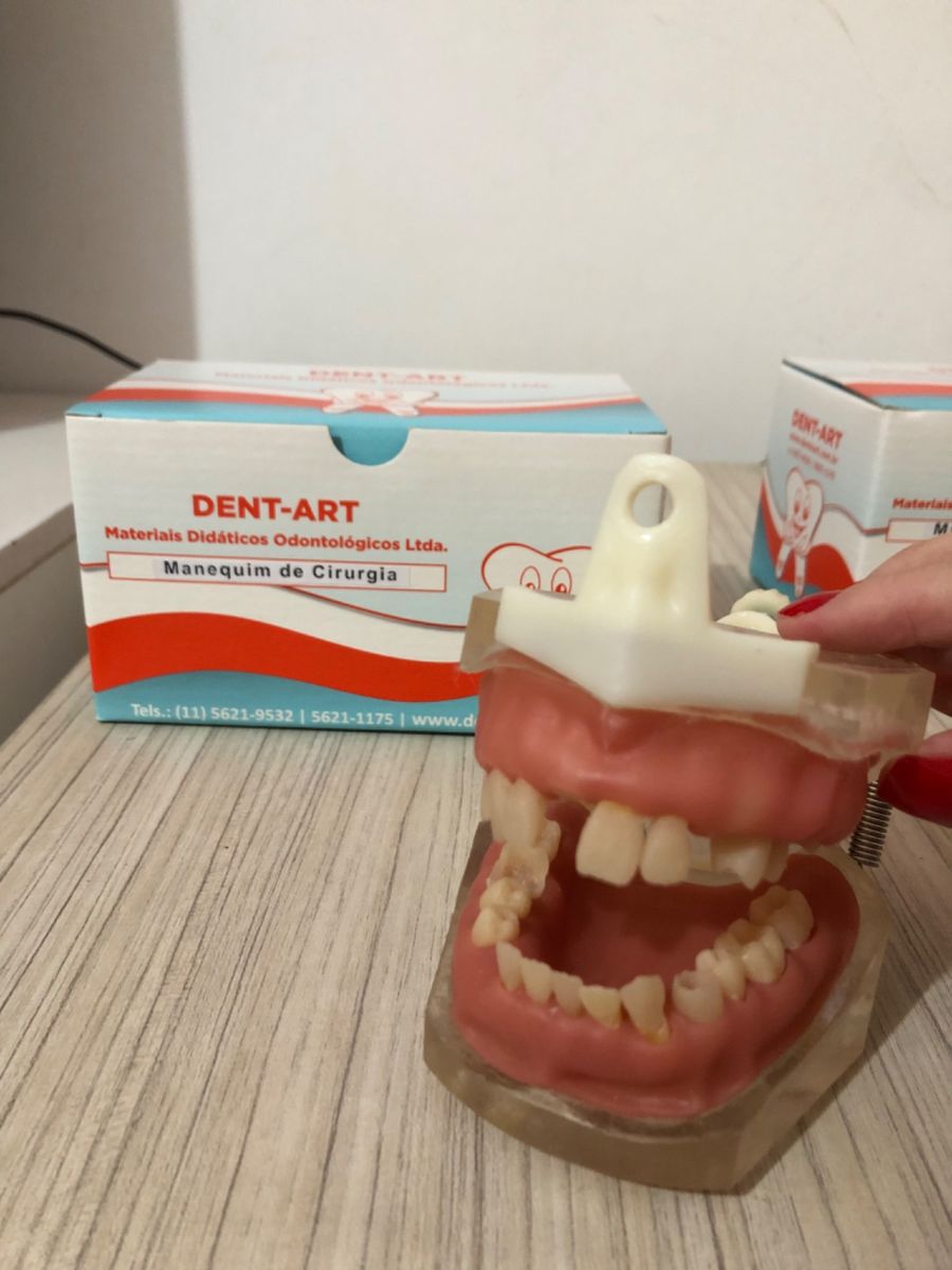 Manequim de Cirurgia Dent-art | Cacareco Dent Art Usado 80698776 | enjoei