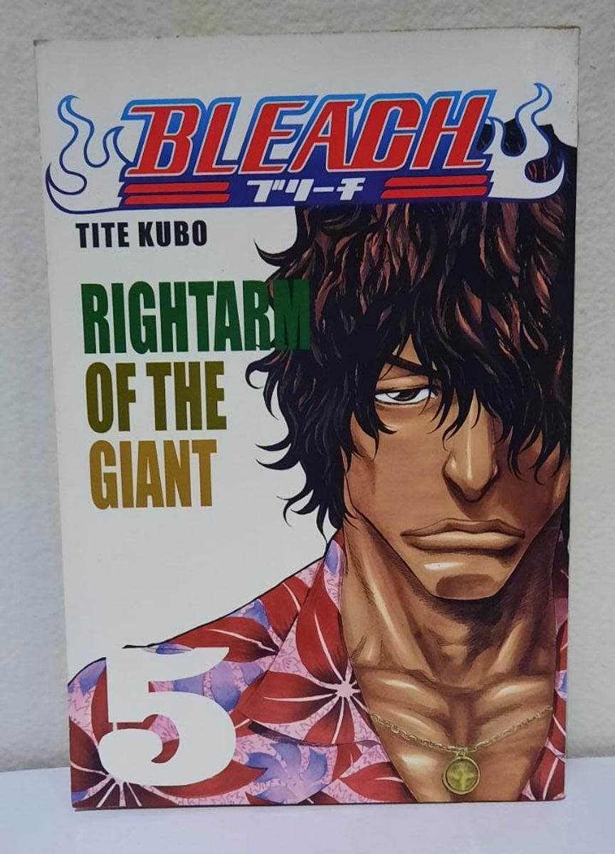 Mangá Bleach Vol 5 | Livro Panini Usado 74123874 | enjoei
