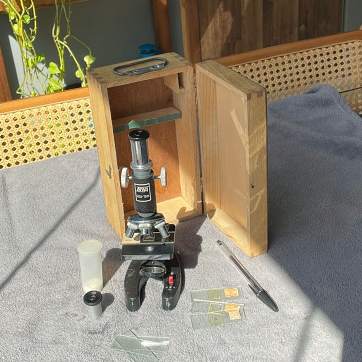 Microscópio Towa 100x - 750x com Caixa de Madeira Original | Cacareco ...