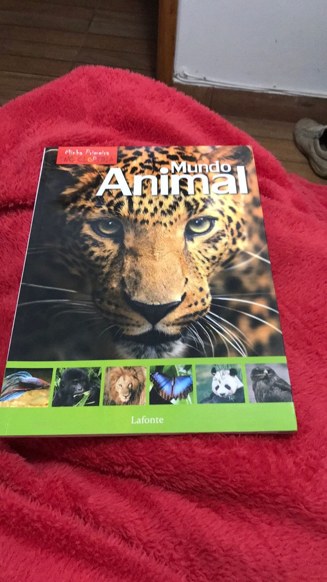 Minha Primeira Enciclopédia Mundo Animal | Livro Lafonte Nunca Usado ...