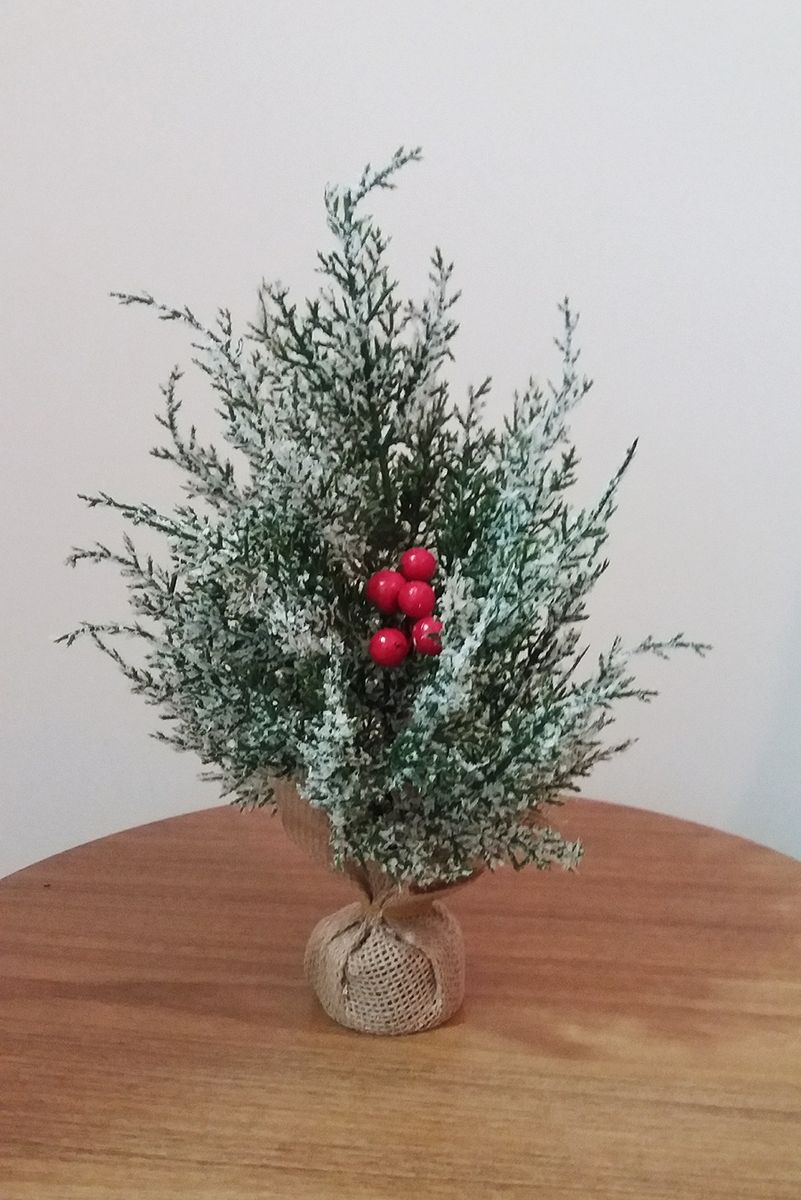 Mini Pinheiro | Item de Decoração Artesanal Usado 82038376 | enjoei