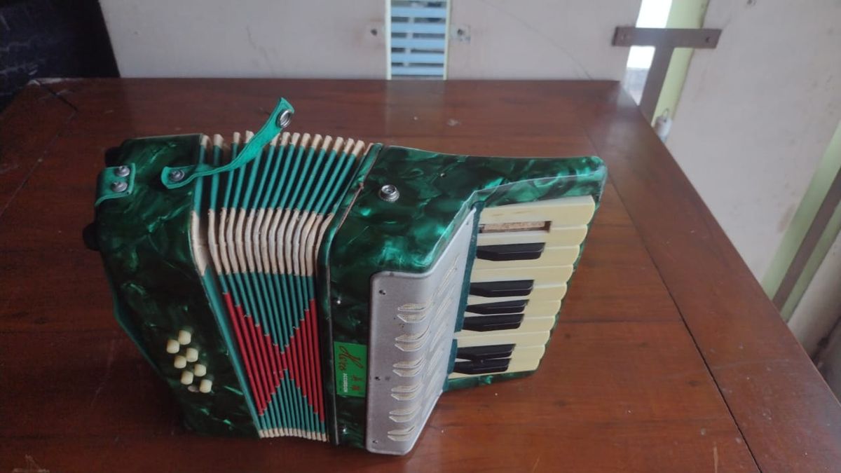 Mini Sanfona Infantil Acordeon Hero* Leia a Descrição | Brinquedo Hero ...