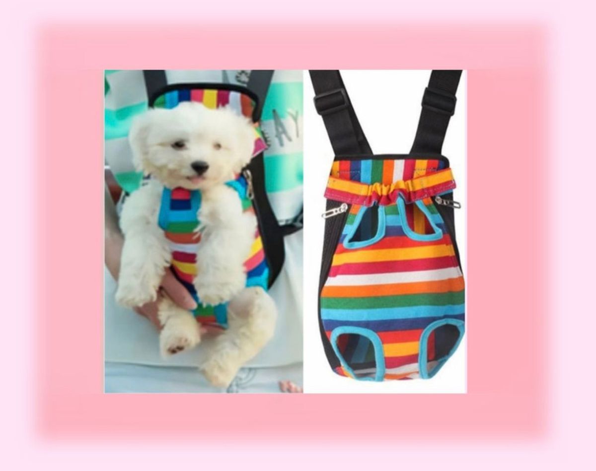 Mochila para Cachorro Pet Roupa Pet | Item p/ Pet Lojinha Da Kim Nunca Usado 86555819 | enjoei