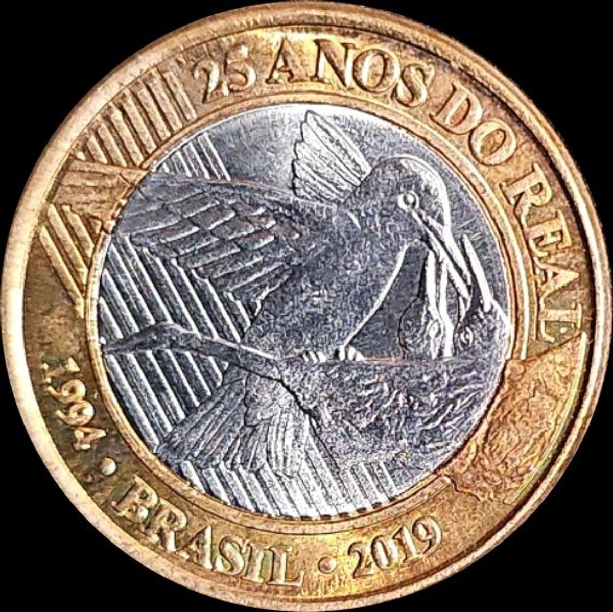 Moeda Beija Flor Comemorativa 25 Anos Plano Real | Produto Vintage e Retro Real Usado 108351148 ...