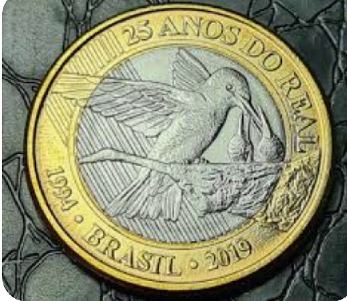 Moeda Comemorativa 1 Real 25 Anos Beija-flor 2019 | Produto Feminino Real Nunca Usado 73552668 ...