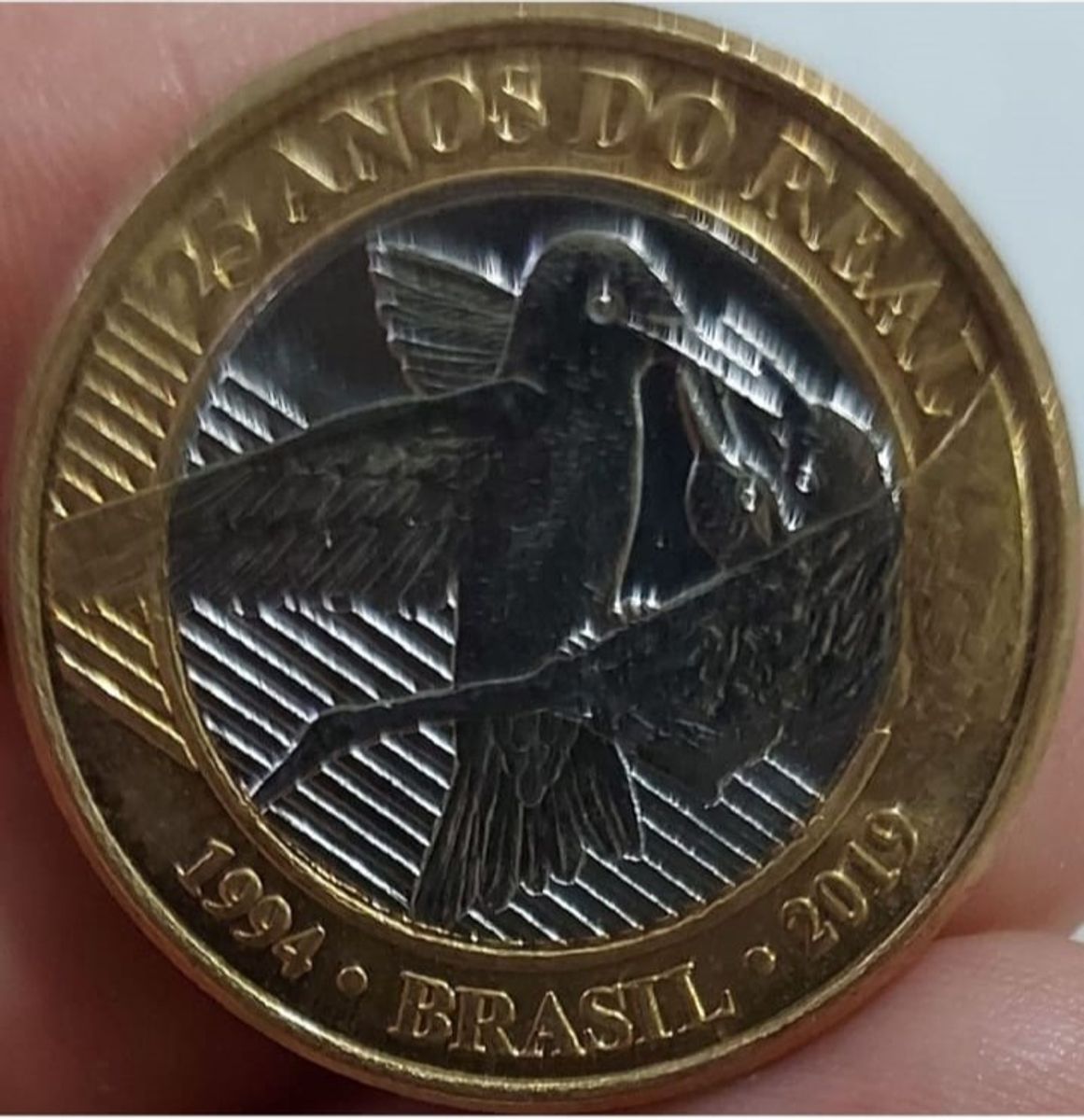 Moeda de 1 Real, Efigie Beija Flor, Ano 2019, Comemorativa Dos 25 Anos do Real - Soberba ...